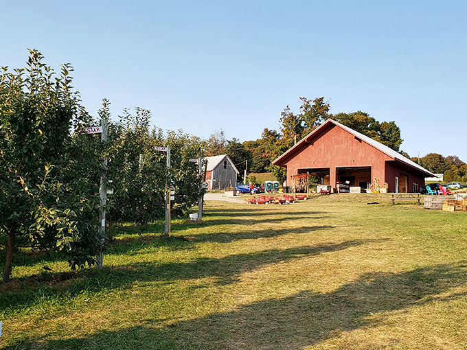 Elevate your road trip at Burtt's! This hilltop orchard offers a high-altitude apple adventure.