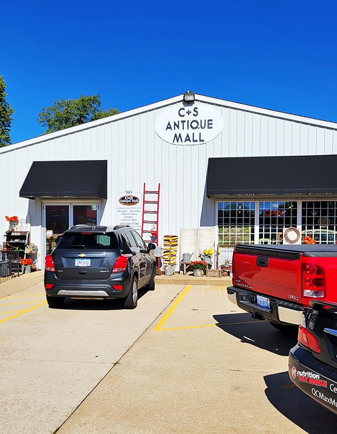 "Last stop on our antique adventure: where the wild things are... for sale! Park your RV and prepare for some unexpected additions."