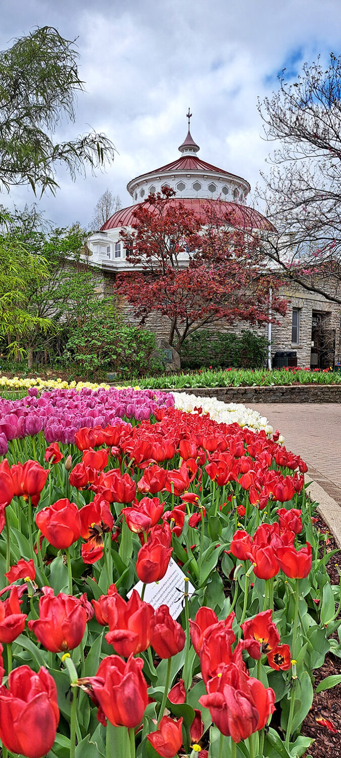 Cincinnati Zoo & Botanical Garden: Where the lions and the larkspurs lay down together. It's Noah's Ark meets "The Secret Garden"!