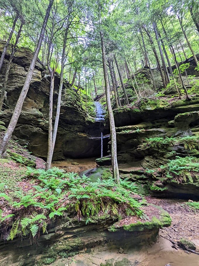 Conkle's Hollow: Nature's stadium, where every seat offers a million-dollar view. No overpriced hot dogs in sight.