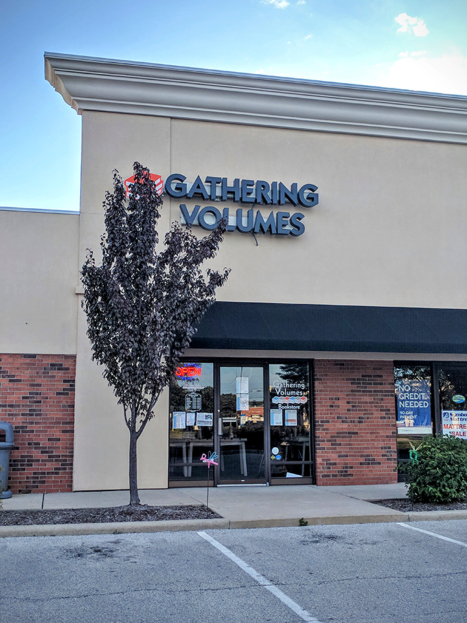 Gather 'round, road trippers! This literary pit stop is where stories and friendships are born.