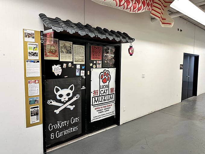 Wave hello to good fortune! This cat-tastic collection is the purr-fect pit stop for road-trippers seeking a little luck.