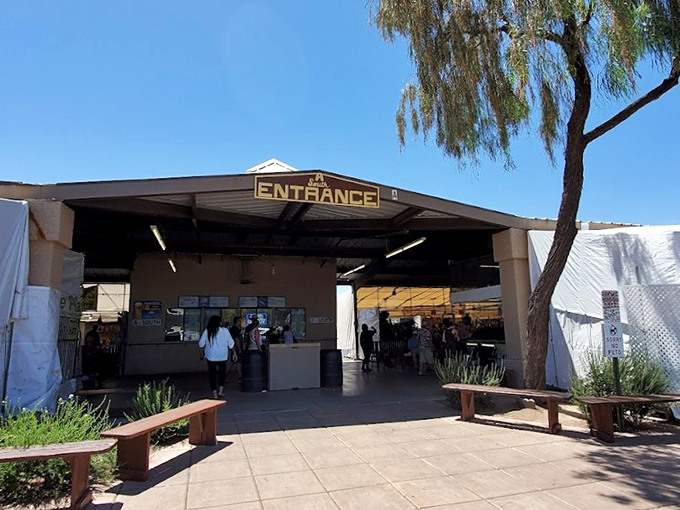 Mesa Marketplace: where "shop 'til you drop" isn't just a saying, it's a way of life. Bring sunscreen, comfortable shoes, and your bargaining A-game!