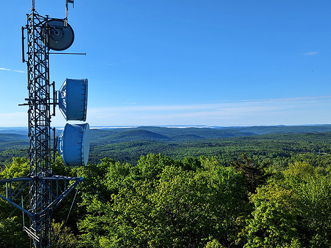 Fall's fiery display: Molly Stark Park puts on an autumn show that rivals Broadway for drama and color.