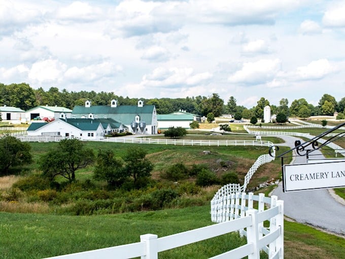 Farm fresh fun for everyone! It's like Old MacDonald's farm got a modern makeover and invited you over.