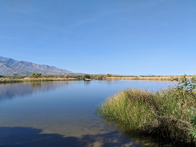 Roadside relaxation redefined: Swap car seats for hot springs and let nature melt those driving kinks away.