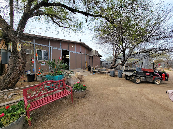 Welcome to the retirement home for the furry and fabulous. It's Golden Girls, but with more howling at the moon.