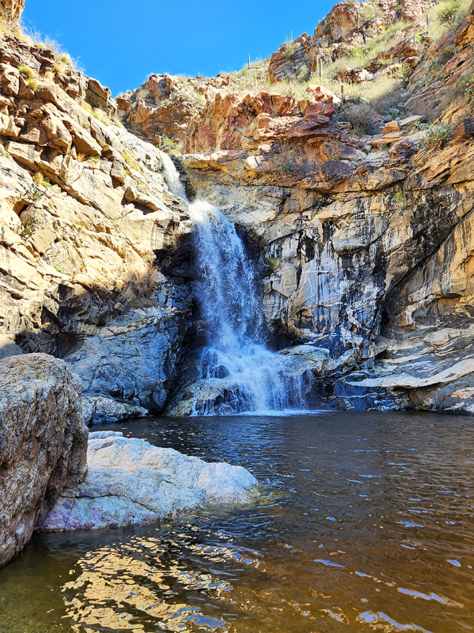 Tucson's hidden splash zone. Tanque Verde Falls is where desert meets tropical paradise.