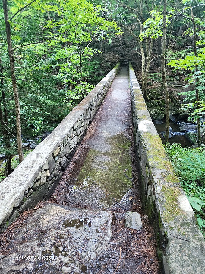 Middle-earth meets Midcoast Maine. Park your car and let your feet (hairy or not) wander these enchanted paths.