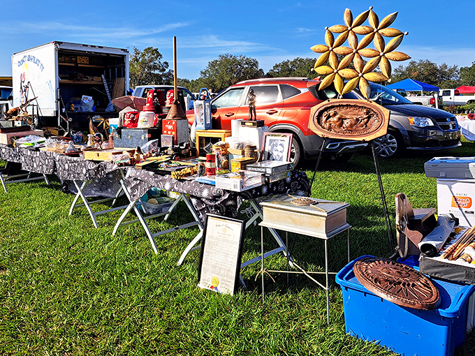 Where the wild things are... and by 'things', we mean an eclectic mix of treasures and curiosities.