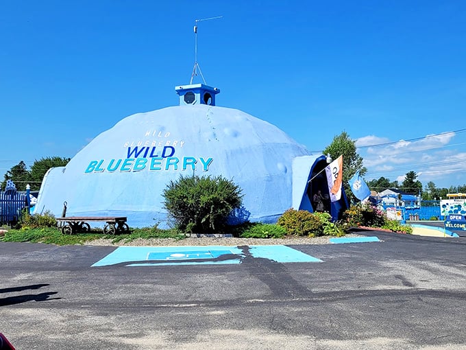 Berry good times ahead! This blueberry-shaped building houses a world of tiny fruit wonders.