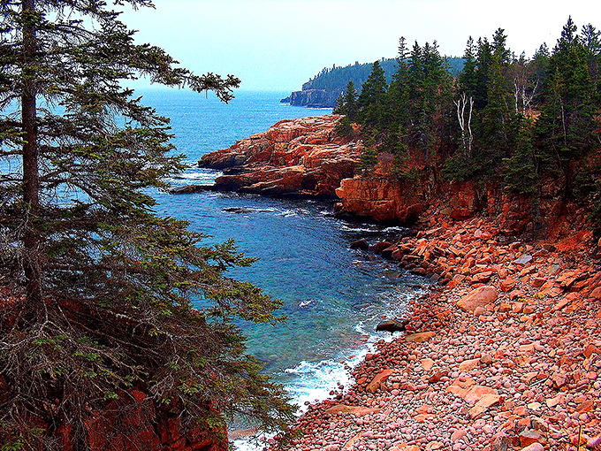 Pit stop in the pines! These lofty challenges at Acadia Aerial Adventure will stretch more than just your legs.