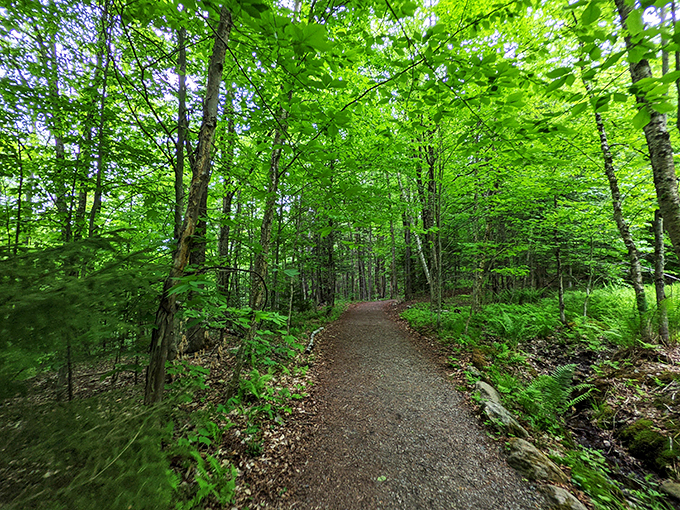 A 40-foot plunge into an emerald pool? Bingham Falls is nature's own magic trick.