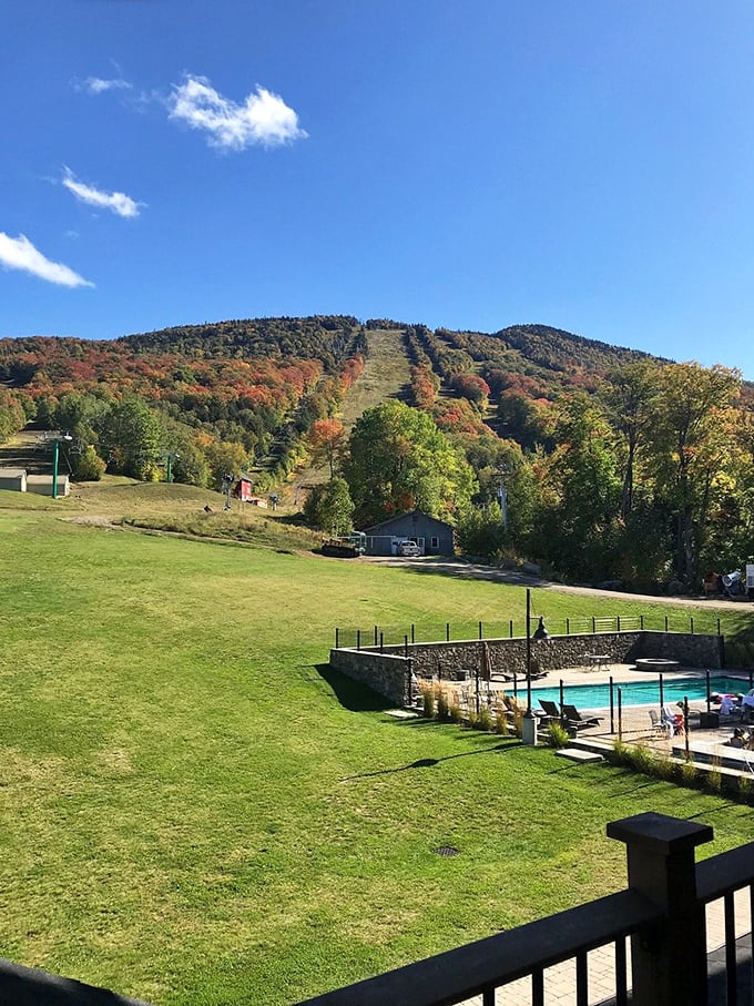 Summer at Burke: Where every trail leads to a postcard-perfect moment. It's like hiking through a living landscape painting.