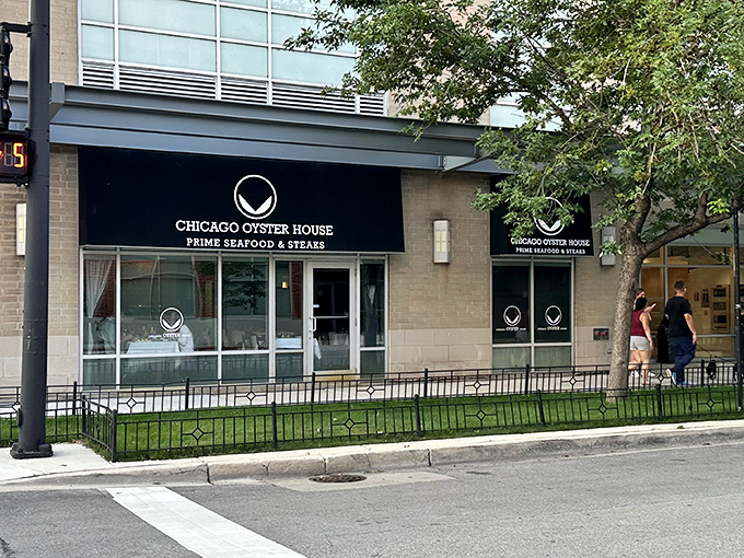 Part upscale eatery, part friendly neighborhood joint. Chicago Oyster House is where lobster rolls get the red-carpet treatment.