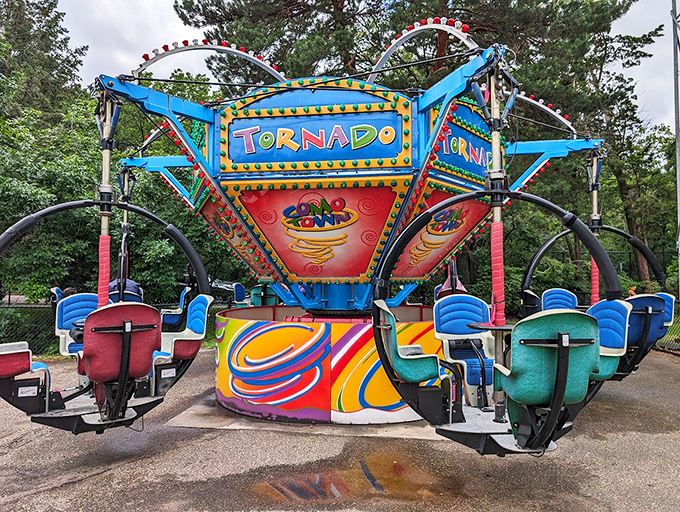 Spin, soar, and smile! Como Town's classic carnival atmosphere brings out the kid in everyone.