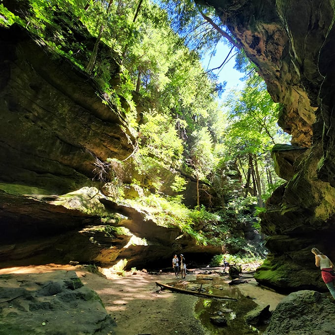 Walk the rim of Conkle's Hollow: It's like being on top of the world, if the world was made of gorgeous sandstone cliffs.