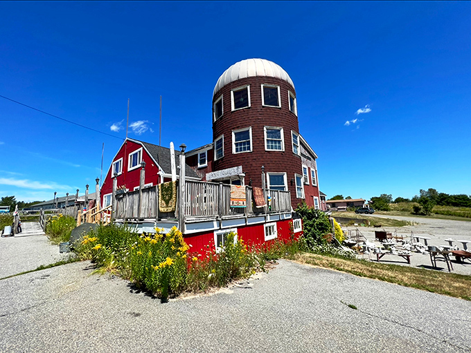 From butter churns to telescopes, it's a cosmic collision of country and quirky. Time-travel never looked so good!