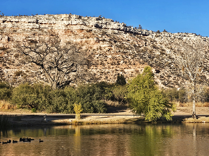 Bird watching here is like a feathered fashion show. Binoculars are the new opera glasses!
