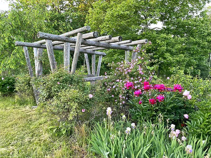Hosta la vista, baby! With 300 varieties, it's a leaf lover's paradise.