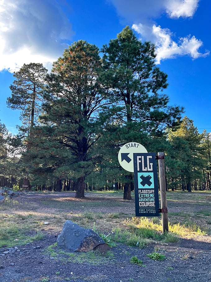 From wobbly bridges to daring zip lines, this course turns the forest into your personal playground. Squirrel envy guaranteed!