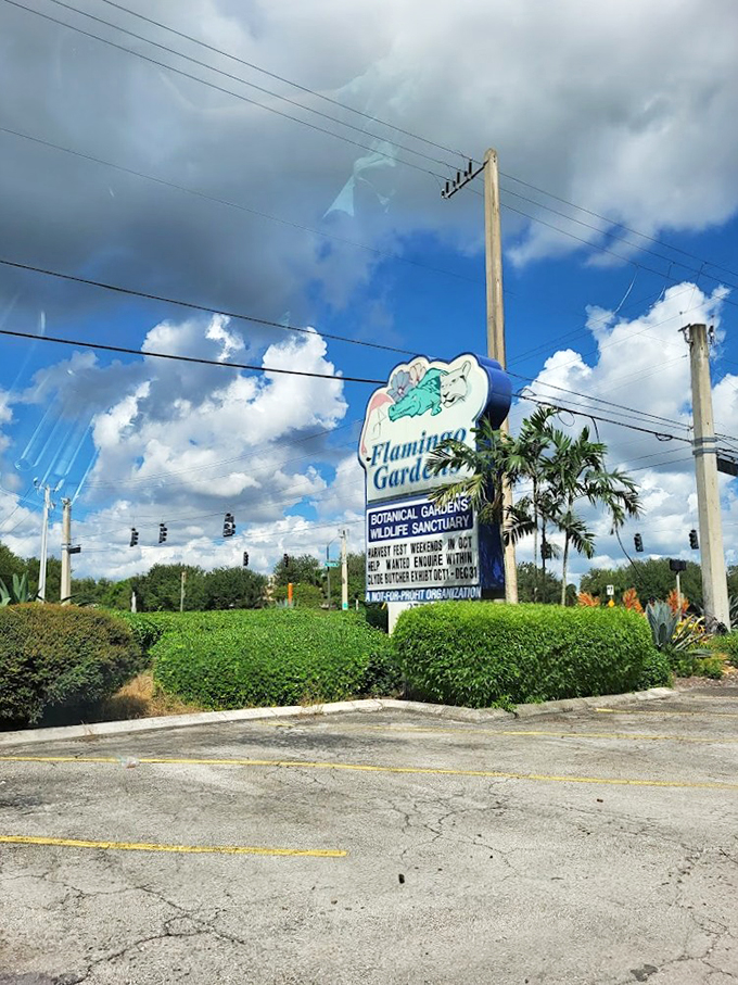 Welcome to the jungle, Florida edition! This sign promises wild adventures without the need for a passport.