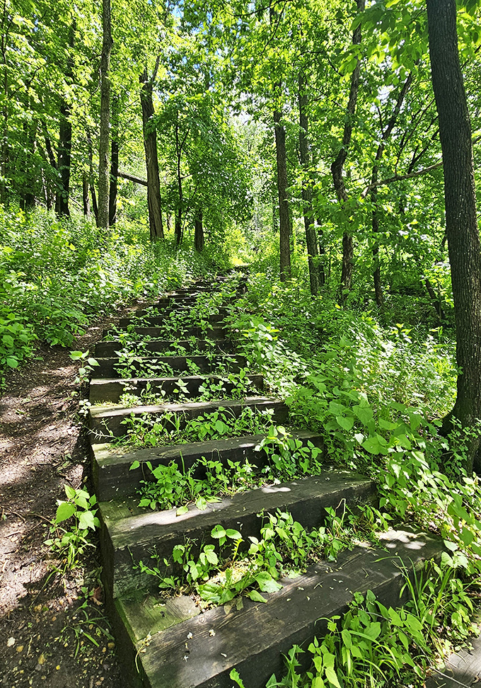 New Ulm's natural water park at Flandrau. Dive into summer fun without the long lines or overpriced snacks.
