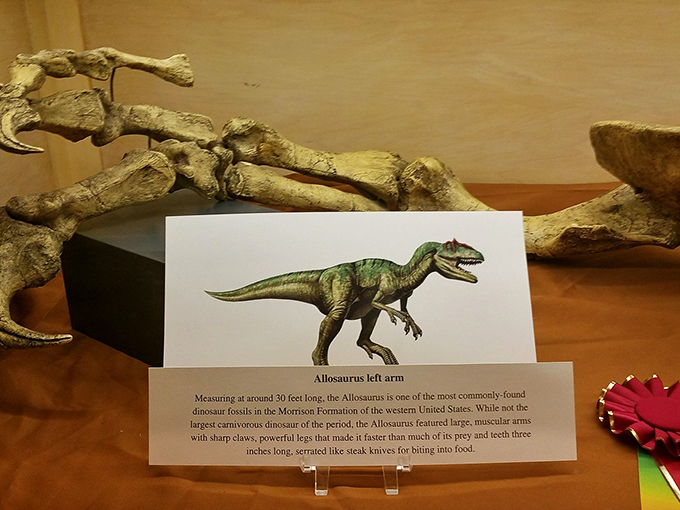 Dino-mite discoveries! Kingman Museum's exhibits bring prehistory to life, no time machine required.