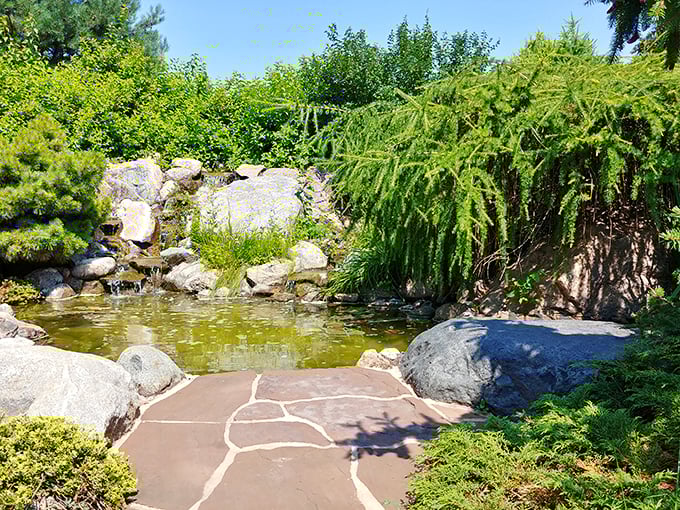 Tree-mendous views await! Lose yourself in the leafy labyrinth of Minnesota's flora.