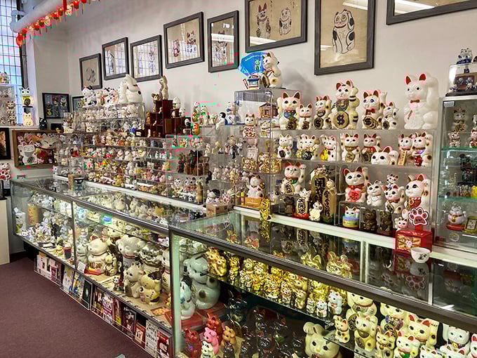 Kitty corner from the ordinary, this museum is the cat's meow for anyone looking to add some whimsy to their journey.