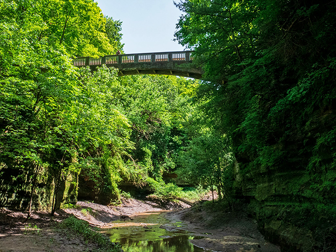 Boardwalks wind through Matthiessen's verdant wonderland. It's like walking through a real-life fairy tale, minus the talking animals (probably).