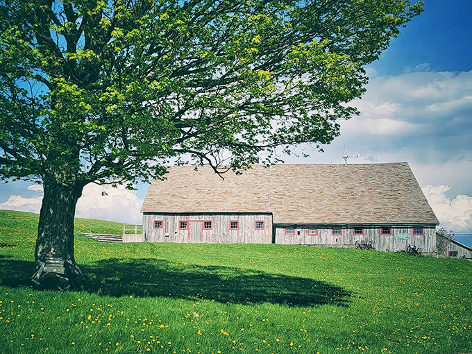 The ultimate detour: Where the journey leads to self-discovery and maybe a few farm animals.