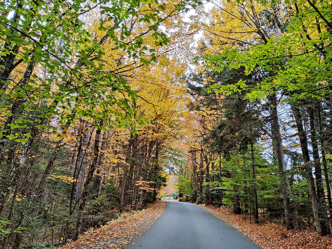 Summit views to die for: On a clear day, you can see forever&hellip; or at least three states and Canada.