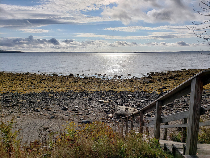 Moose Point's coastal charm: Where the grass is always prettier, especially with that ocean view.