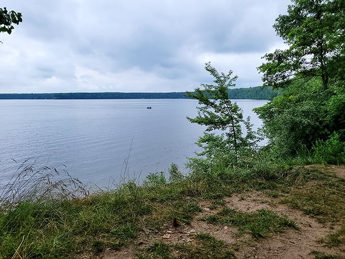 Forest primeval at Newaygo! Towering trees create a cathedral-like canopy, inviting you to worship at the altar of Mother Nature.