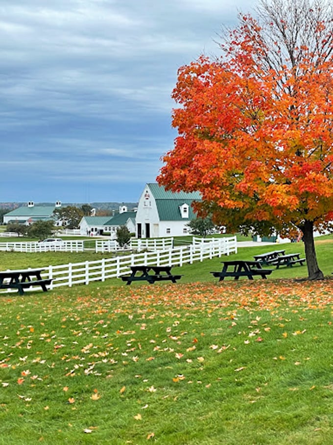 Cruise into country living at its finest. This farm is the perfect place to stretch your legs and feed your soul.