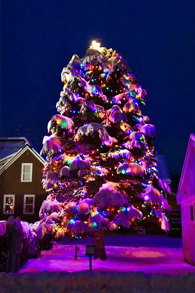 Snow-capped peaks and twinkling lights turn Rangeley into a winter playground that would make elves jealous.