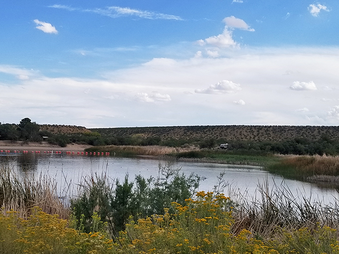 Journey from asphalt to oasis: This hidden gem turns your road trip into a spa retreat!