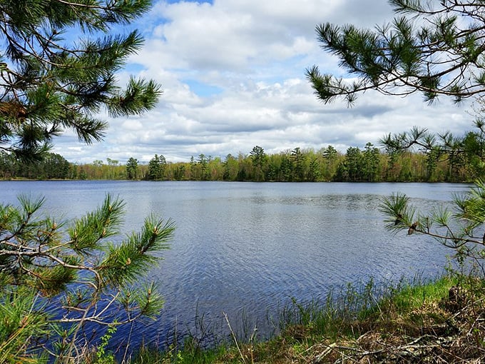 Swap your steering wheel for a paddle and navigate Savanna Portage's serene lakes.