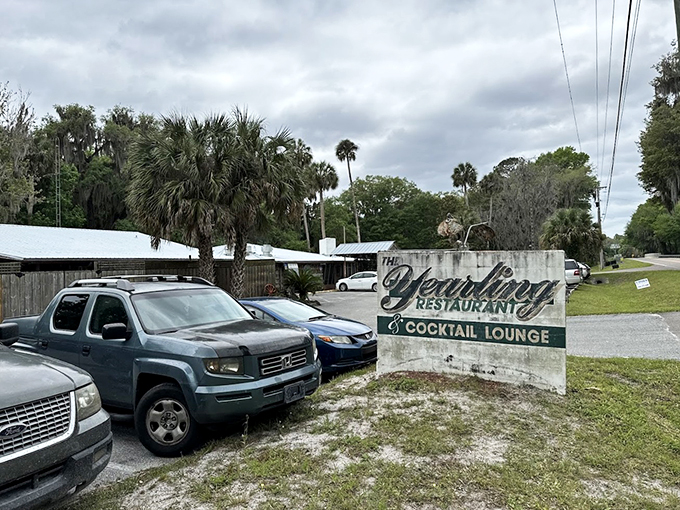 Gator tail and swamp cabbage at The Yearling? It's the most authentic Florida experience this side of wrestling an alligator.