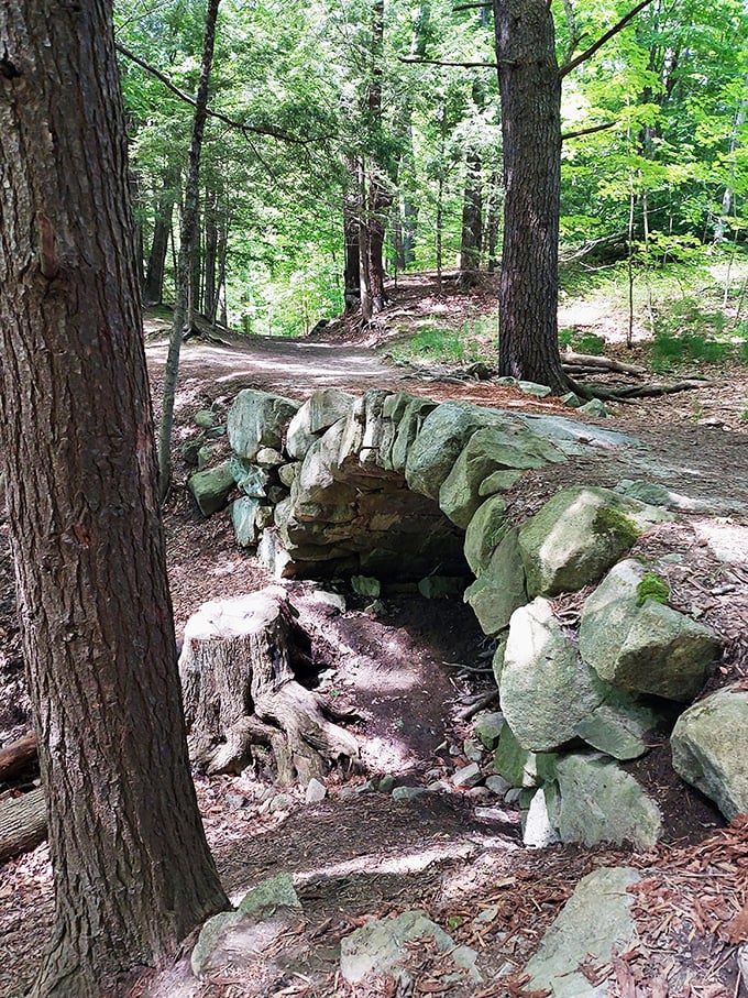 Stone bridges to nowhere and everywhere. Vaughan Woods: where fairy tales and forest trails intertwine.