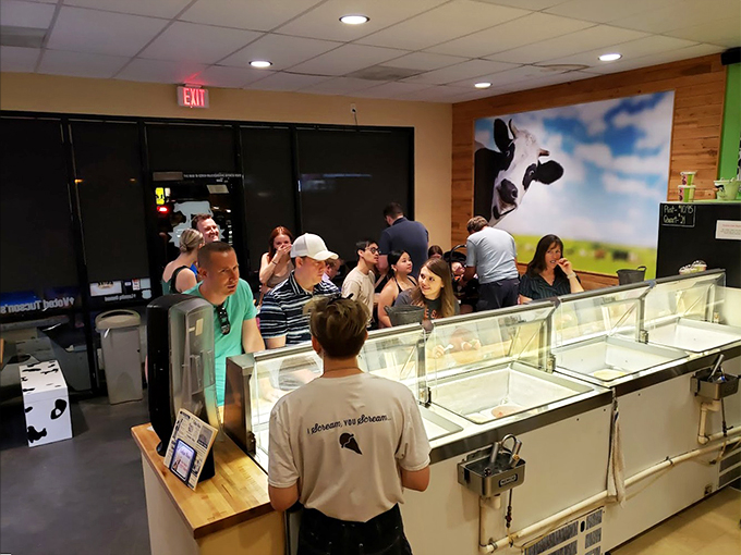 Ice cream brings people together like nothing else. It's like a United Nations summit, but with more sprinkles and smiles.