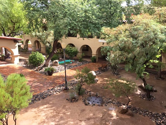 Desert oasis or secret garden? This lush courtyard proves that with a little TLC, even cacti can have charming neighbors.