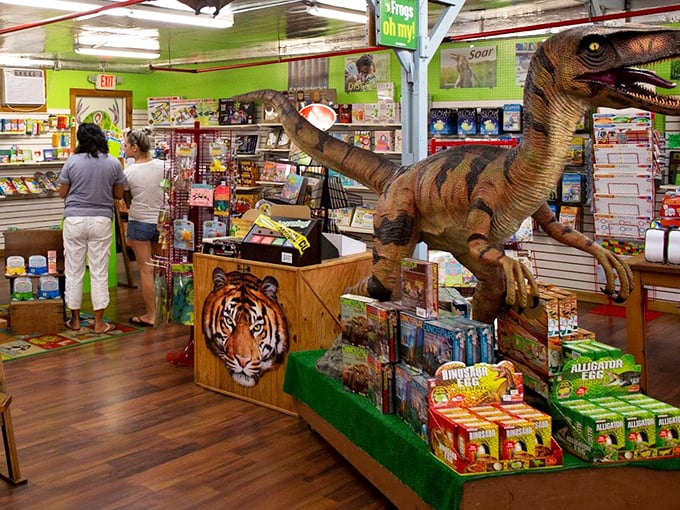 Jurassic Park meets Toys "R" Us! This dino-mite display roars with prehistoric charm. Who says you can't buy a time machine?
