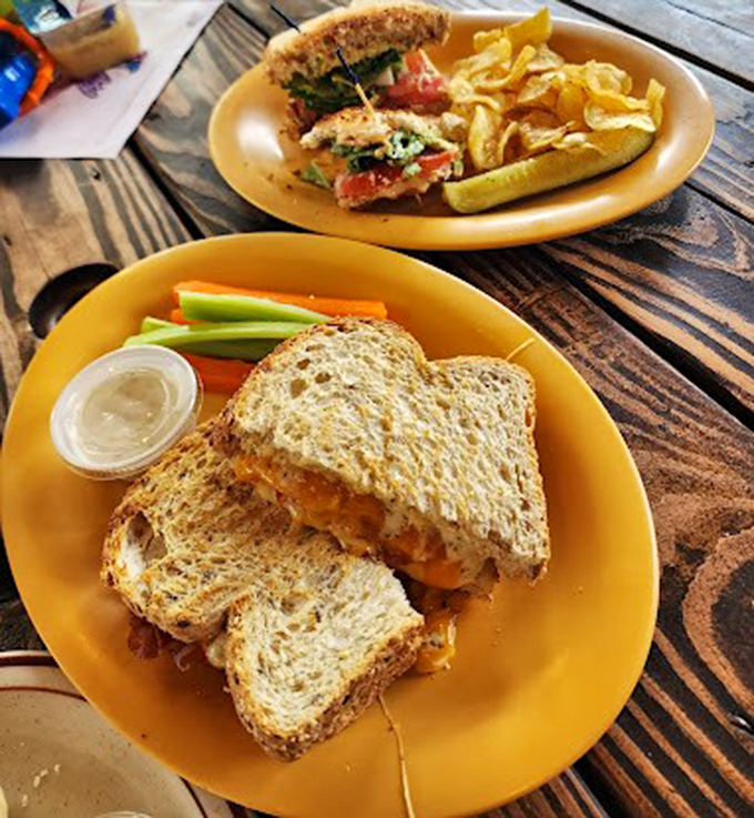 Grilled cheese perfection! Golden-brown, ooey-gooey, and ready to make your inner child do a happy dance.