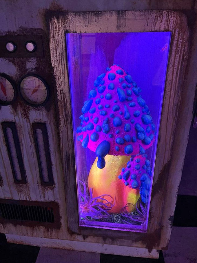 "Imagine if Picasso and Tesla had a art-lab lovechild. This interactive masterpiece brings new meaning to 'hands-on experience'."