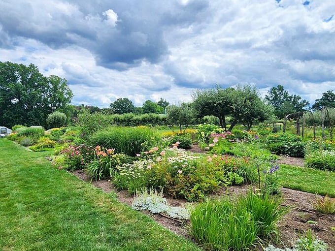 "A floral feast for the senses!" This vibrant garden patch is a riot of colors and textures, proving that Mother Nature is the ultimate landscape artist.