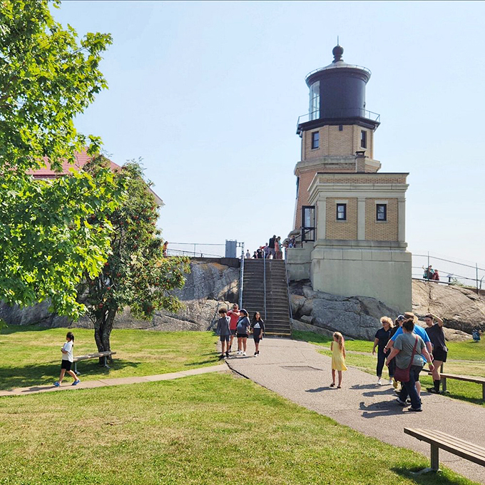 The path less traveled? Not anymore! This walkway is busier than a squirrel highway in acorn season.