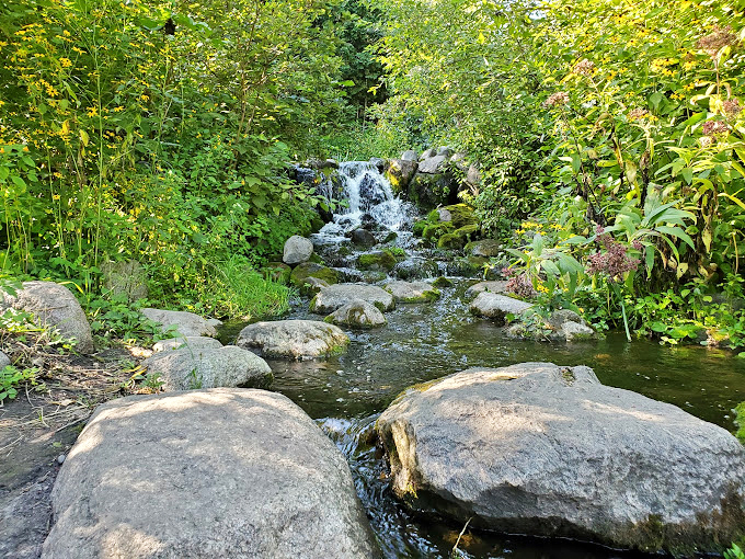 Who needs a spa day when you've got this babbling brook? Nature's own white noise machine at work.