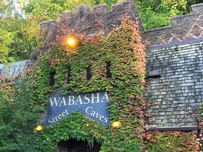 Nature's camouflage meets historical hotspot. This ivy-covered entrance is like a speakeasy in plain sight &ndash; hidden, yet impossible to miss.